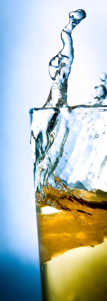 Alaskan Polar Bear Heater - CocktailBook